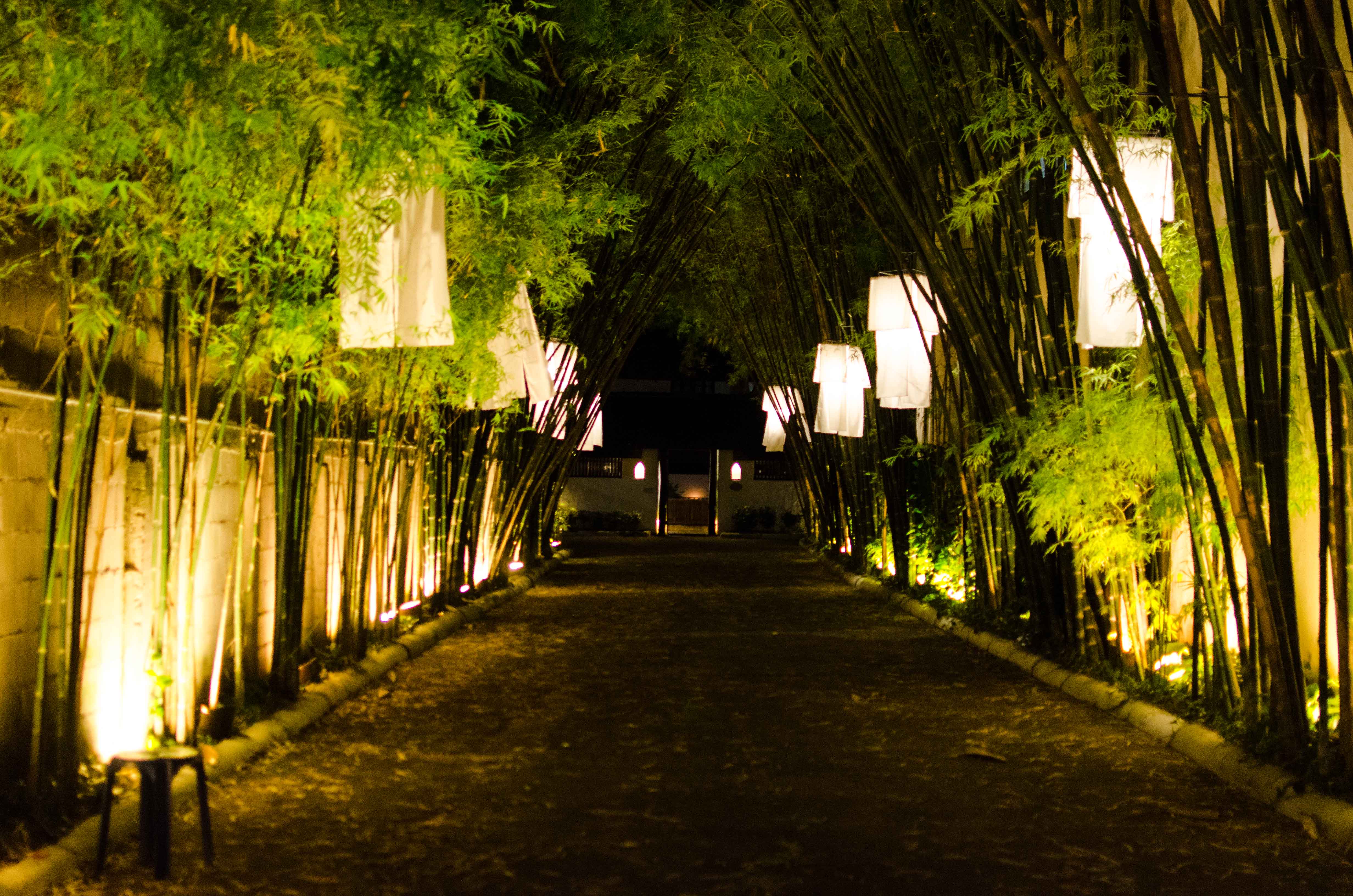 3 Meals in Chiang Mai, Thailand - Go Curry Cracker!