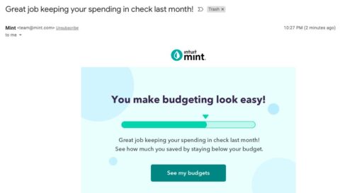 How I Track Expenses (RIP Mint.com) - Go Curry Cracker!
